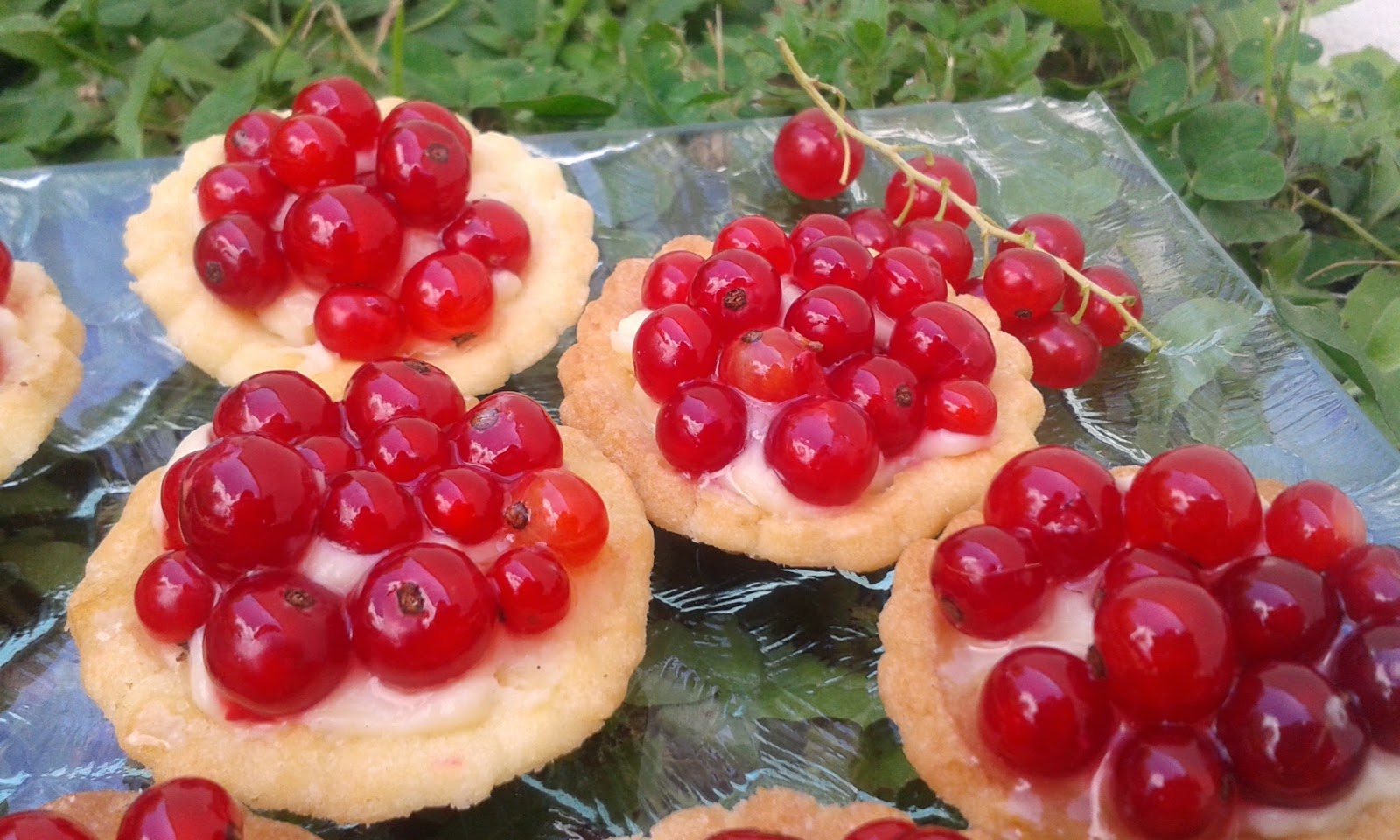 Cuisine de Petit Lu: Des mini tartelettes aux groseilles