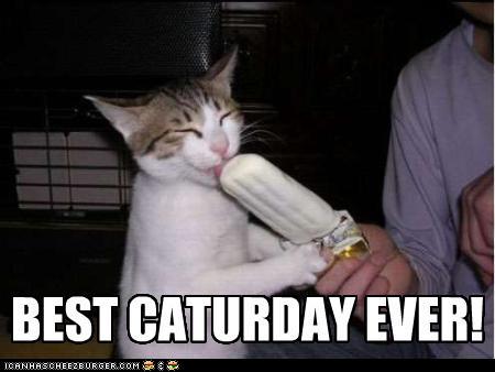 They Say Meow: May 2011