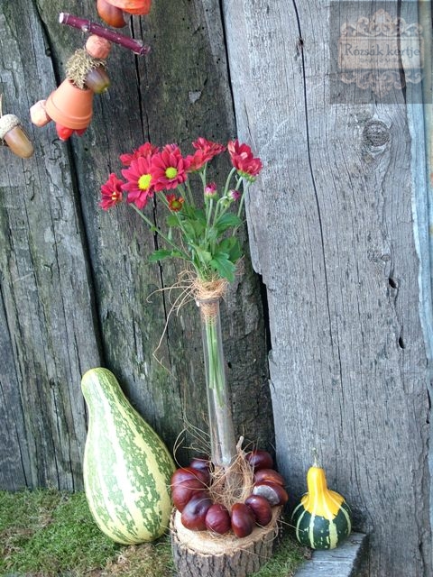 Rózsák Kertje Virág és Dekor: Őszi dekoráció asztaldísz nagyon egyszerűen