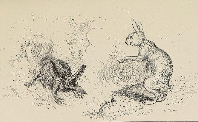 BRER RABBIT: TALES of a TRICKSTER: C060. Brer Gator in Trouble