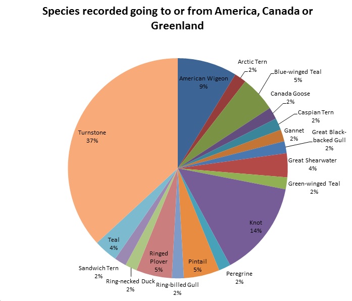 BTO Bird Ringing - 'Demog Blog': From across the pond