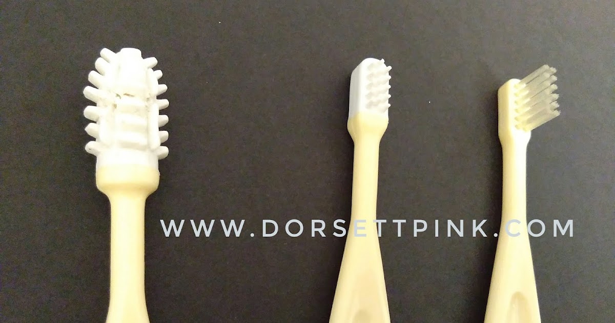 Berus Gigi Pertama | Dorsett Pink