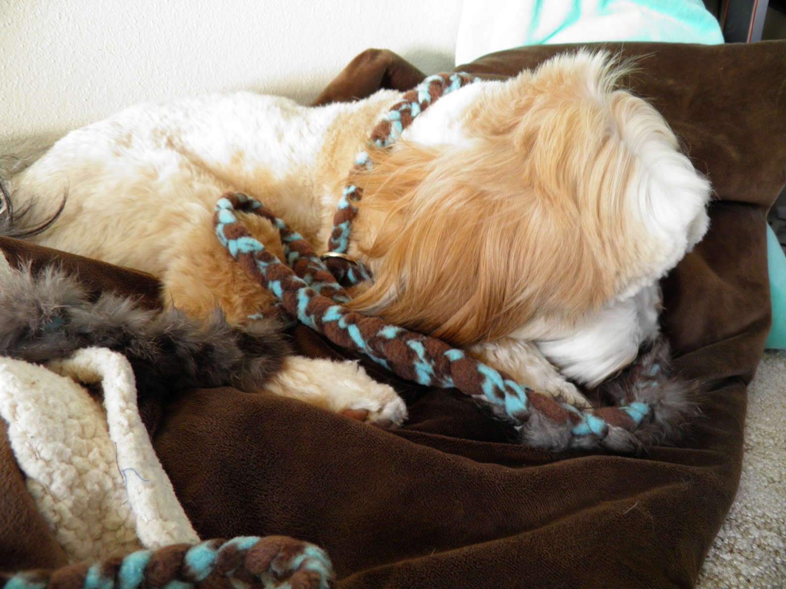 Just A Pup: New Tuggies