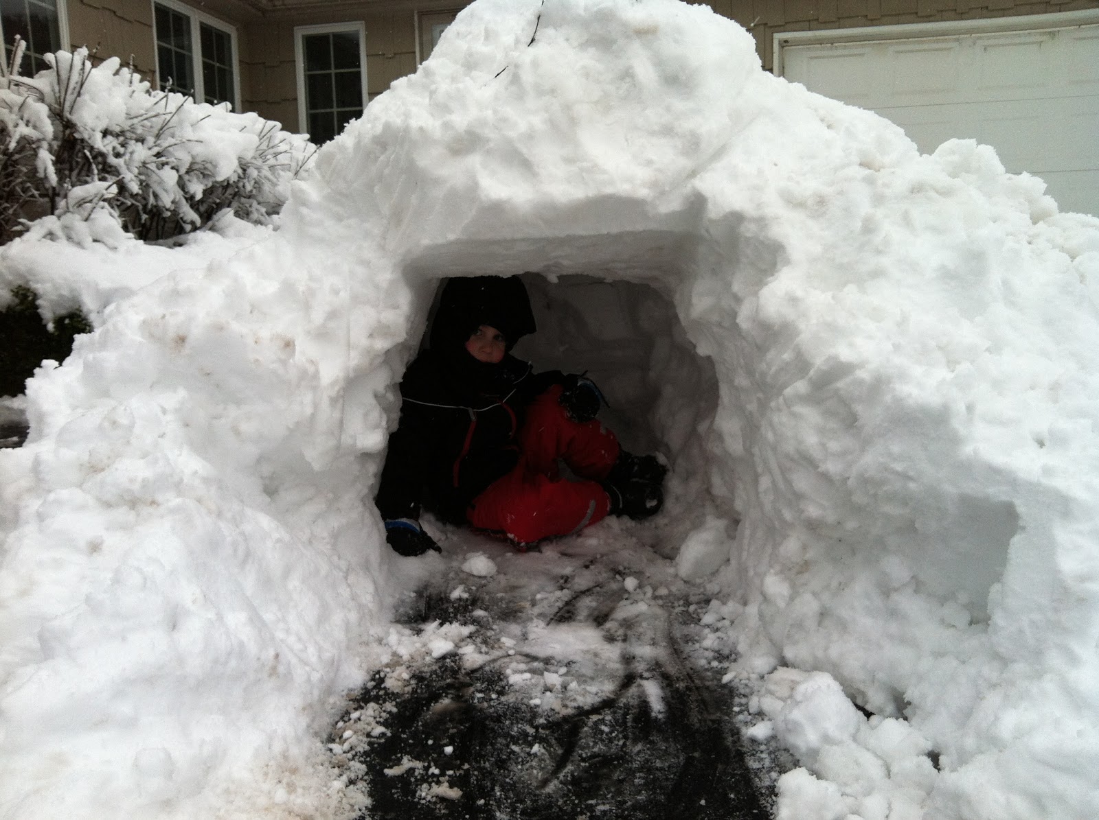 Baby Wogs: A new snow fort