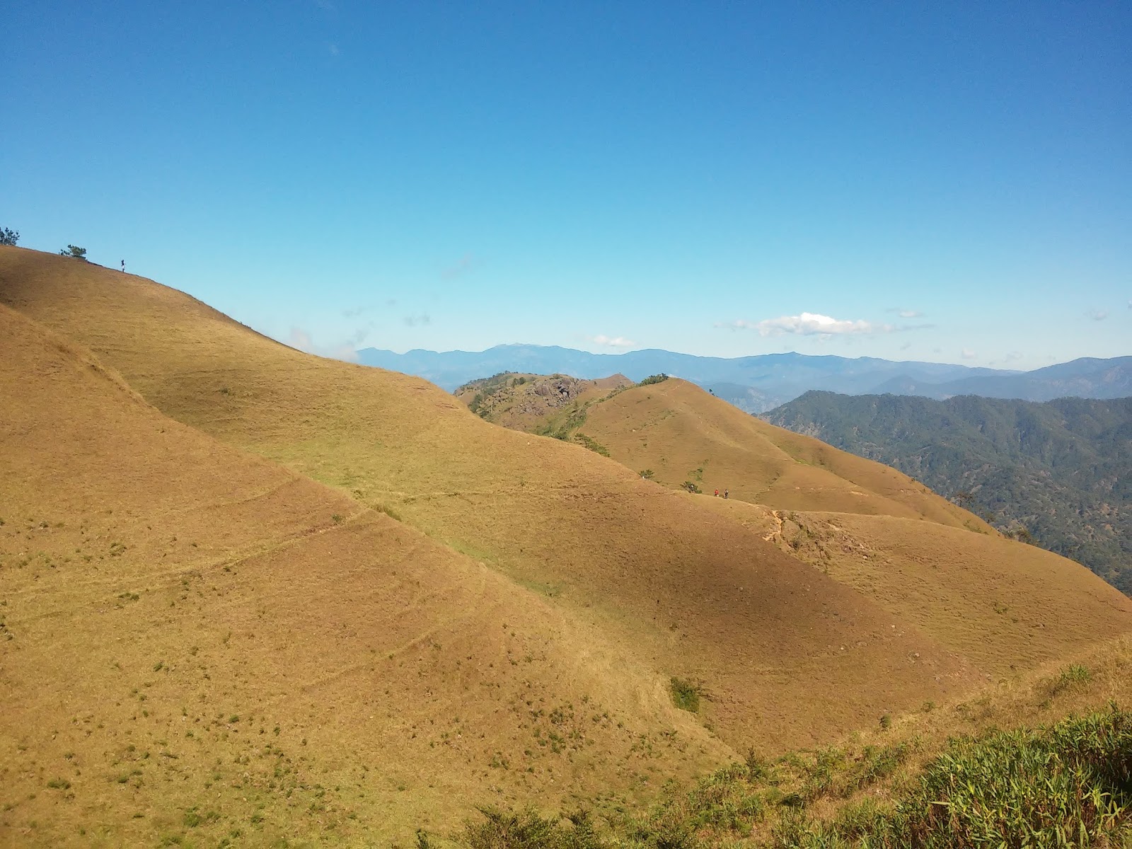 Mt. Ulap Eco Trail Travel Guide - moredantravels