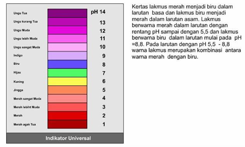 INDIKATOR ASAM BASA dan GARAM ~ LIVE SCIENCE