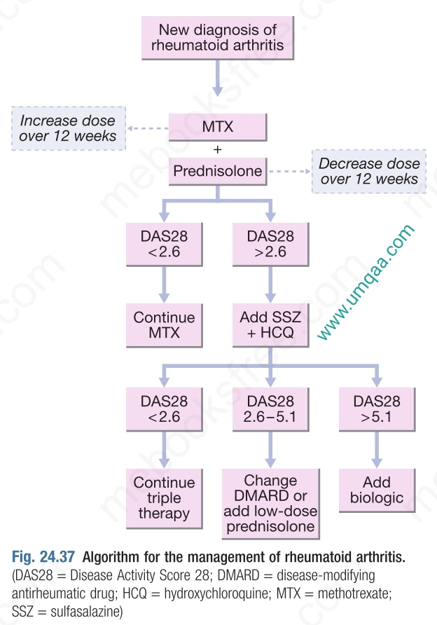 What is DAS28 score?