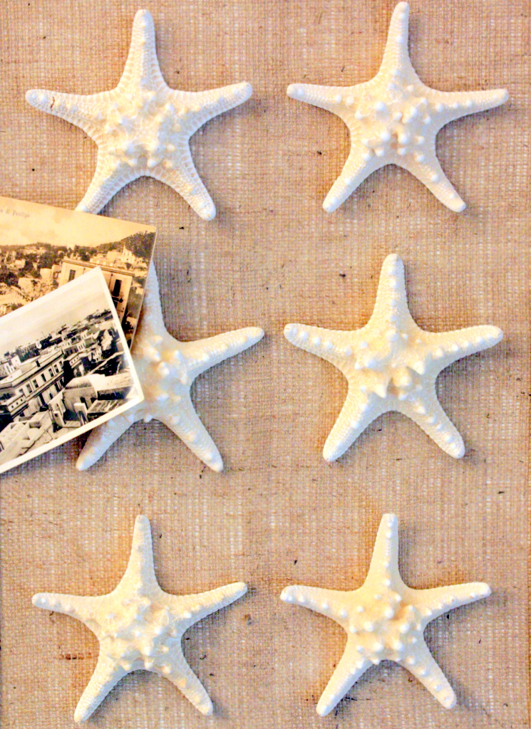 Sweet Something Designs: DIY Starfish Art