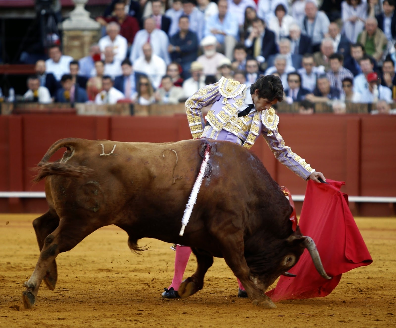 Gelán Noticias: TOROS EN SEVILLA.- Solitaria vuelta al ruedo de José ...