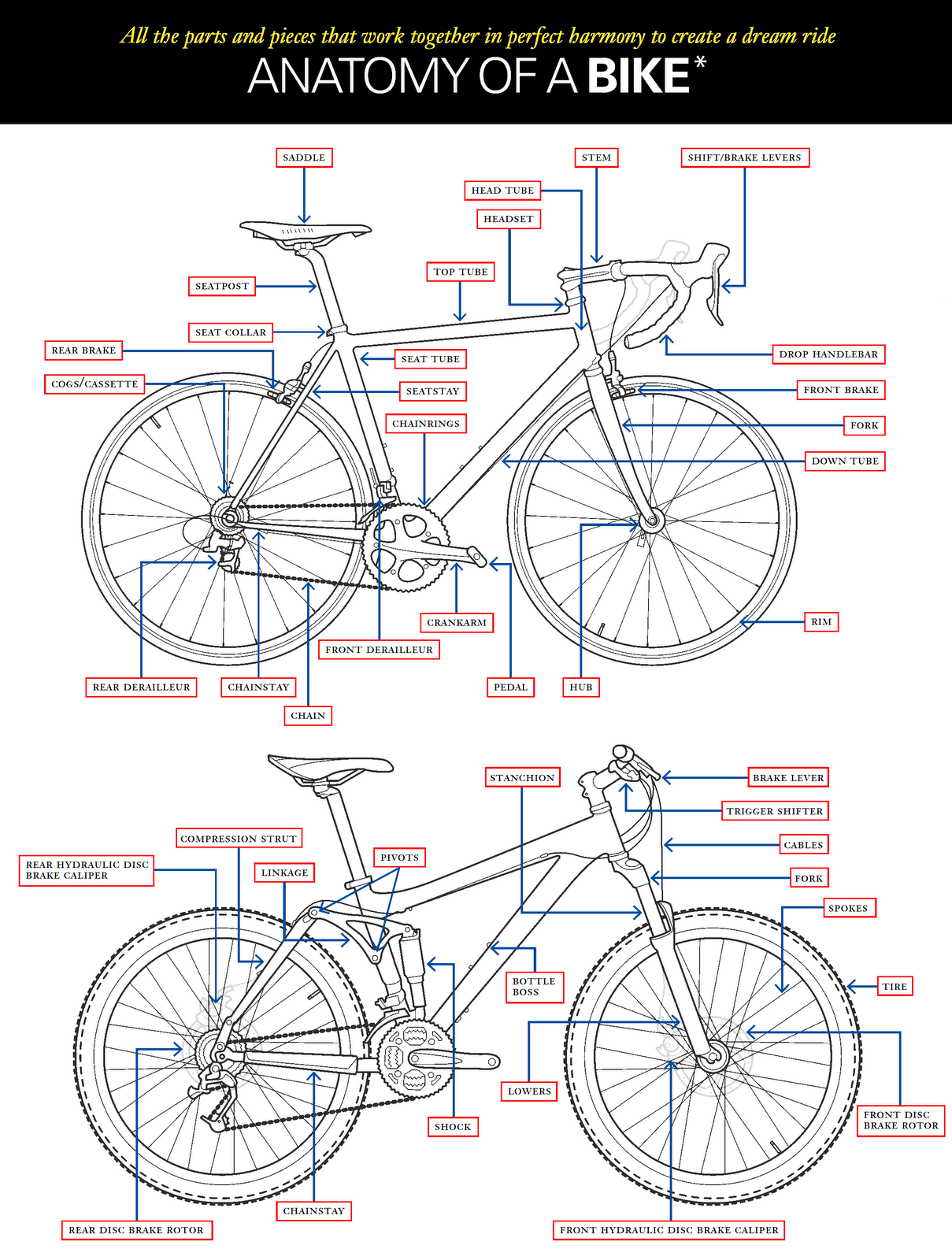 Ekoshyun Blog: The Anatomy of a Bicycle