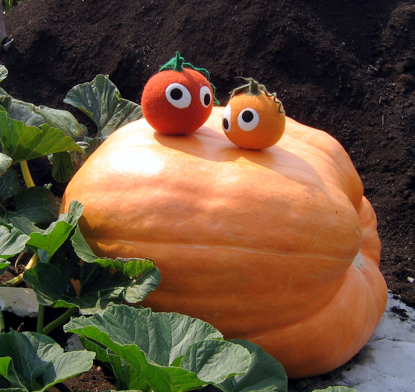 Snooter-doin's : WHEN to travel with your Snooter-doot