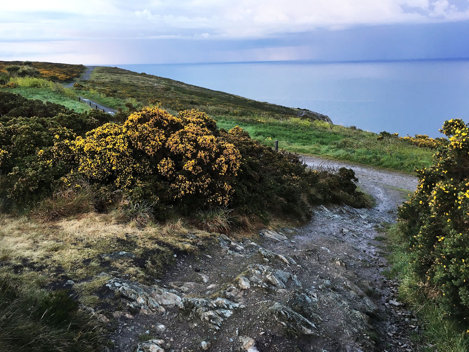 Running Routes: Dublin Howth Cliff Trail Running Route