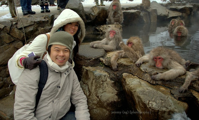 TheNextPicture: Japanese Monkeys in Hot Springs