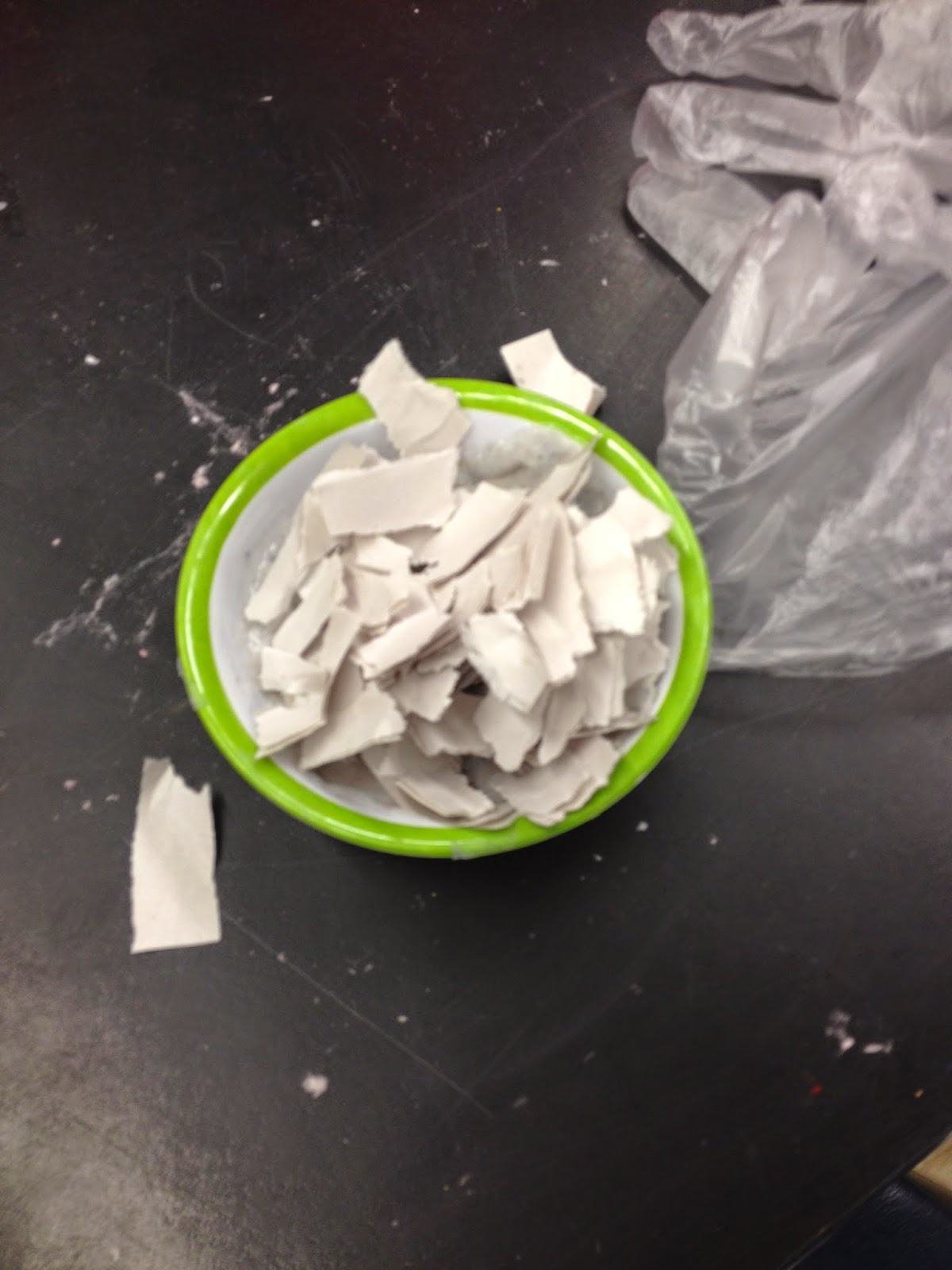 Paper Pulp Sculptures