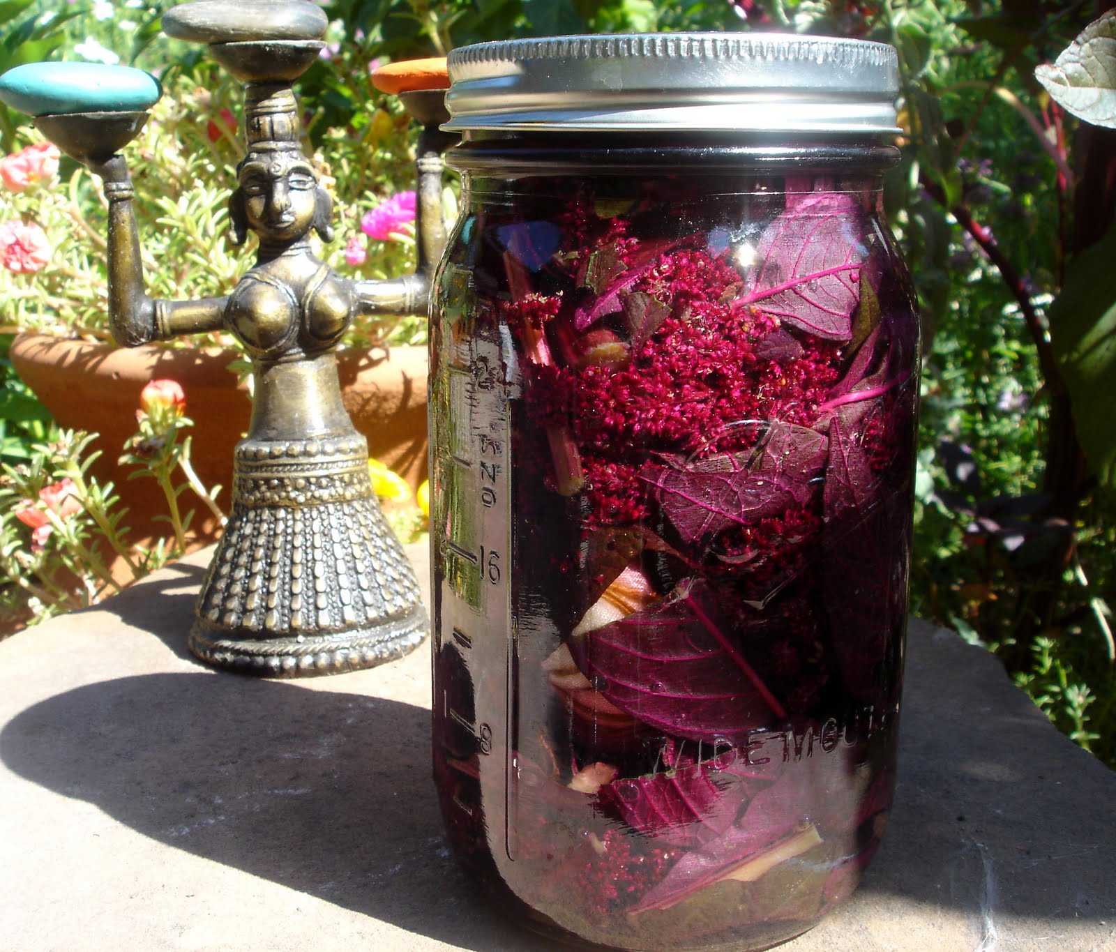 woman with wings: into the dye-pot: red amaranth