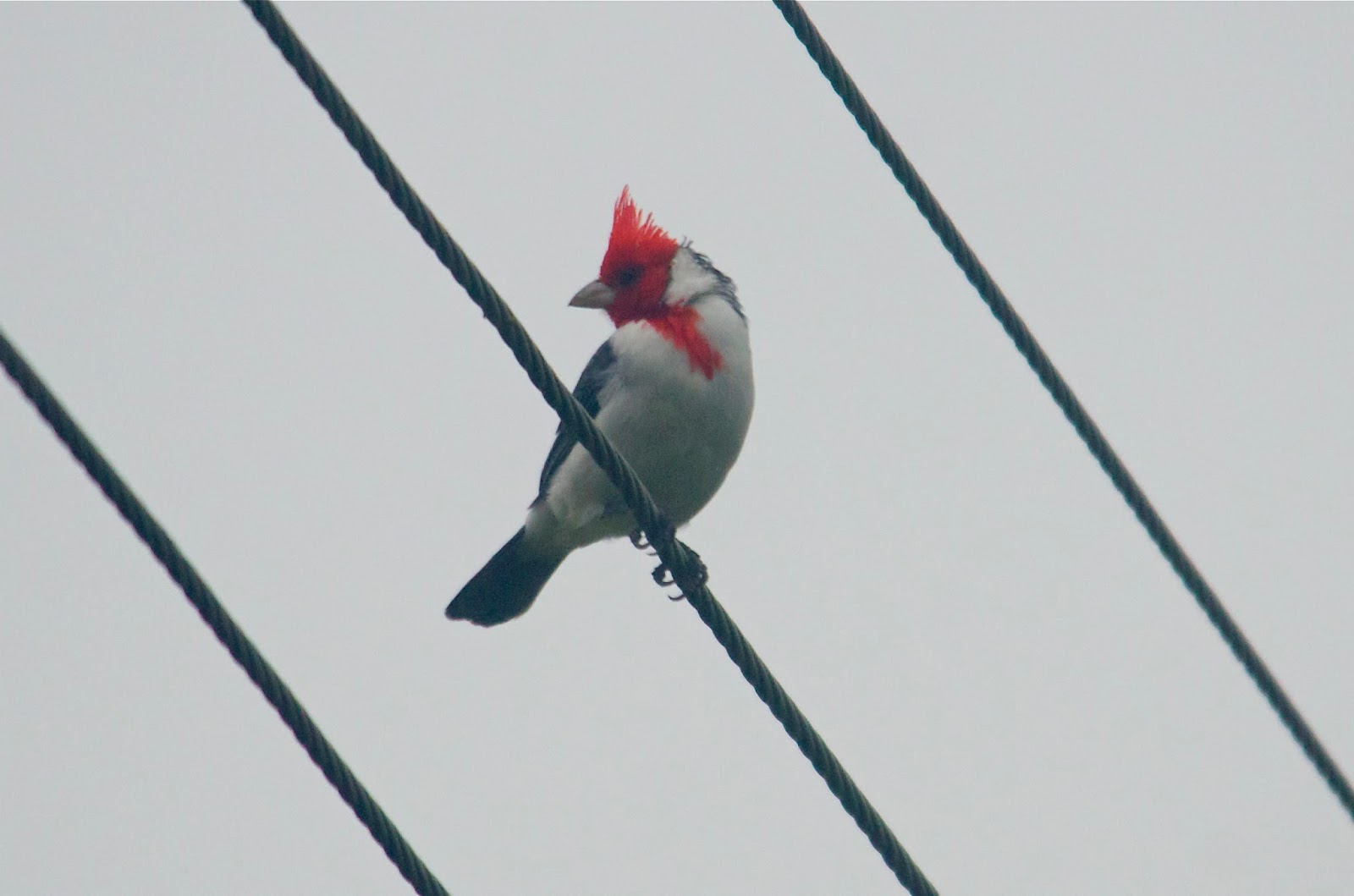 Jan Axel's Blog: April 2016