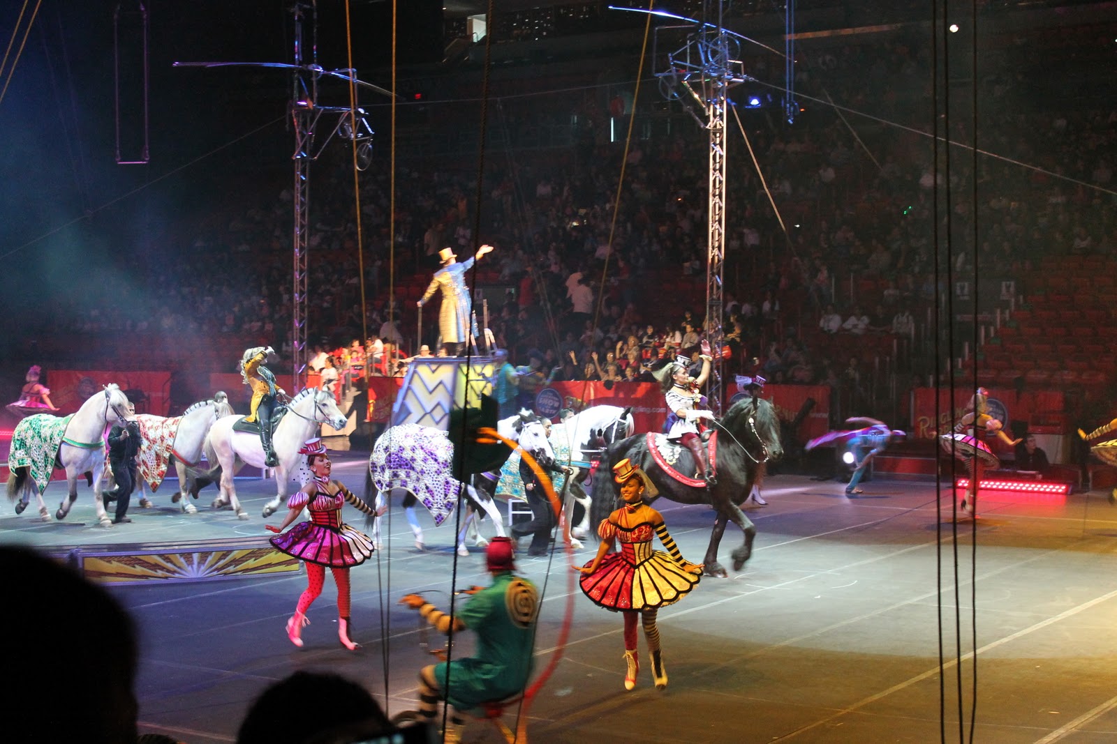 The Johnson Times: The Greatest Show on Earth - at the circus!