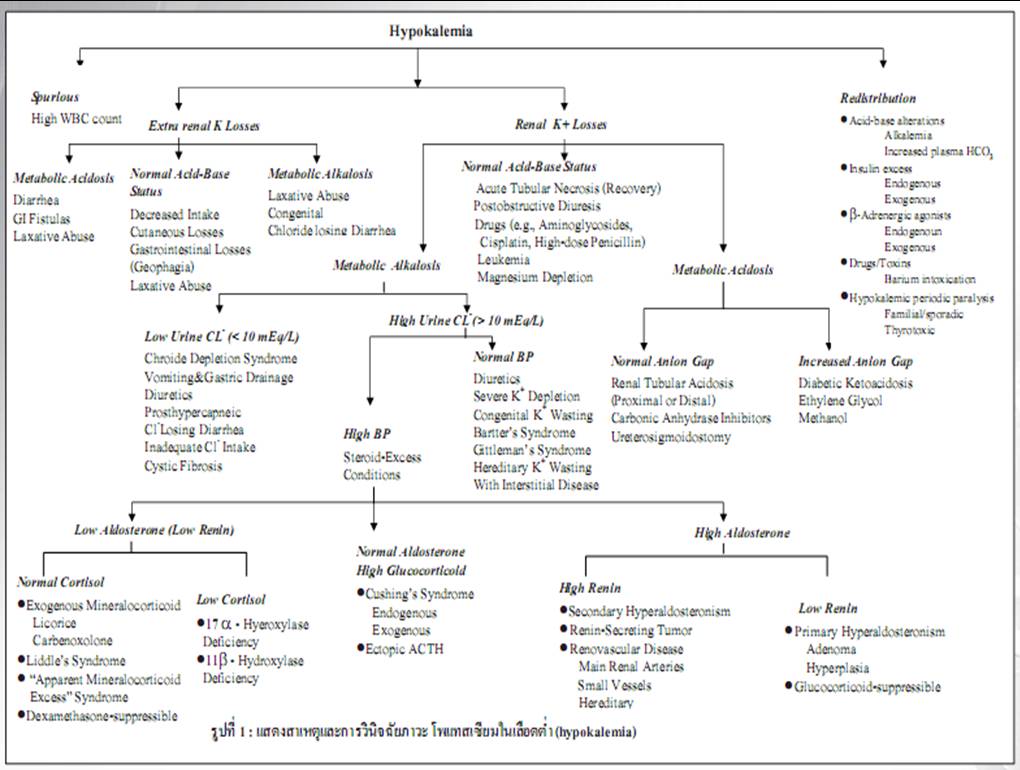 Phimaimedicine: 1,637. Renal tubular acidosis, distal RTA (type 1)