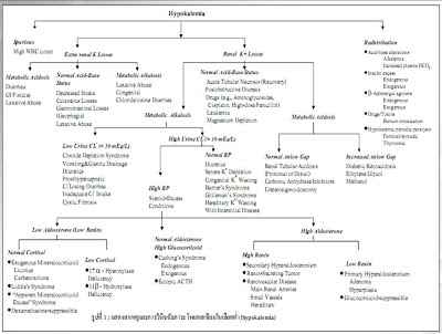 Phimaimedicine: 1,637. Renal tubular acidosis, distal RTA (type 1)
