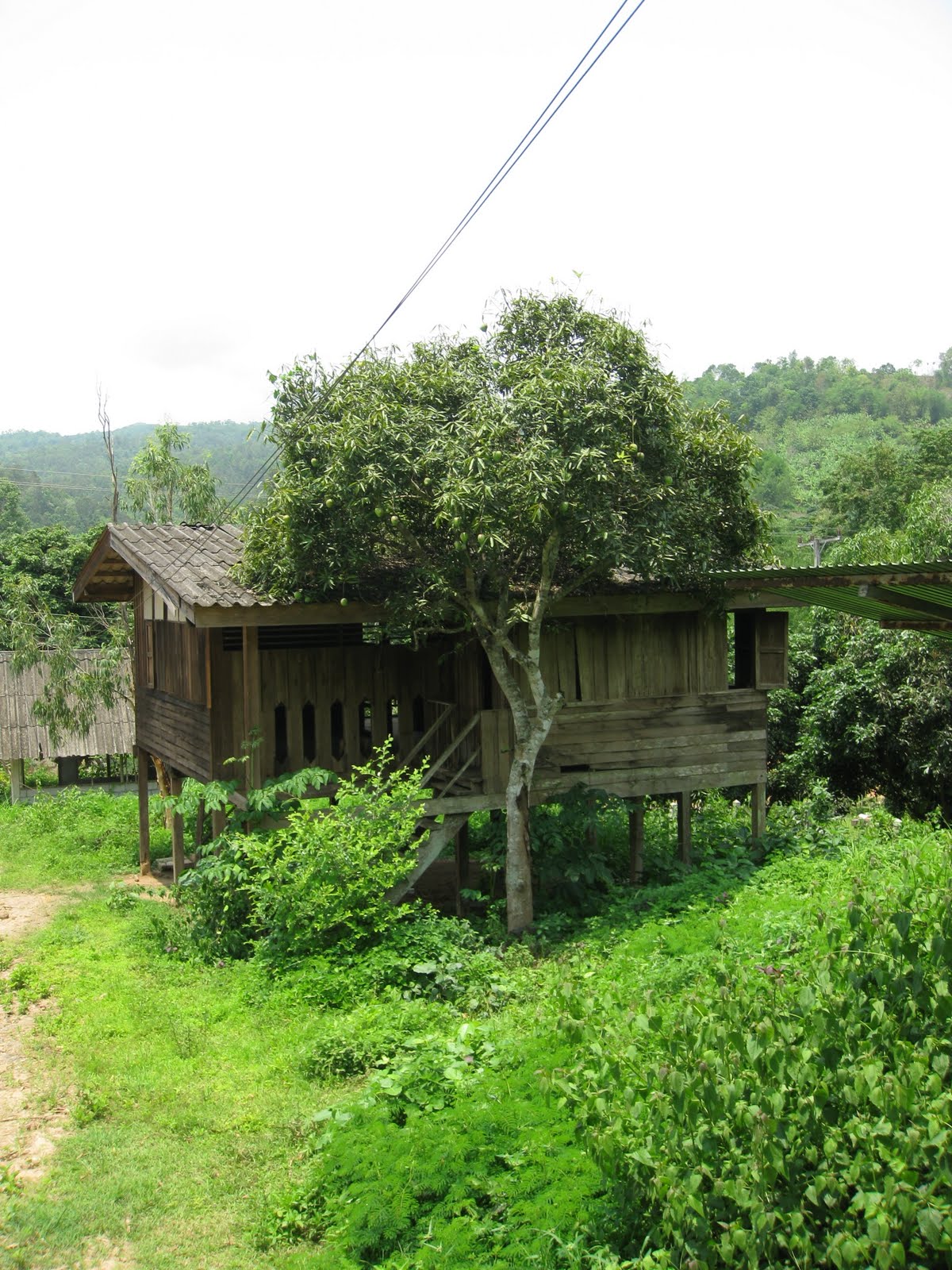 same same but different: Chiang Mai and Pin Bwong
