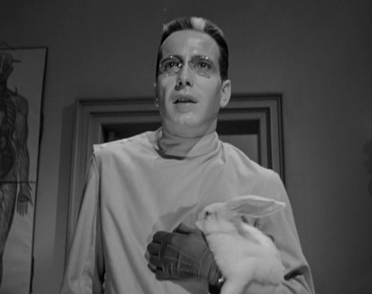 FARK.com: (6979048) "Casablanca" to open in 450 U.S. movie theaters ...