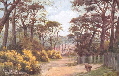 CarolArt Paintings and Video : Alfred Robert Quinton (1853 - 1934 ...