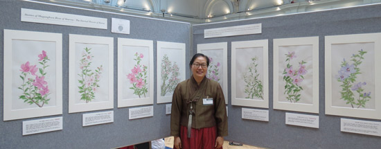 MAKING A MARK: Reflections on the RHS Botanical Art Show Autumn 2014
