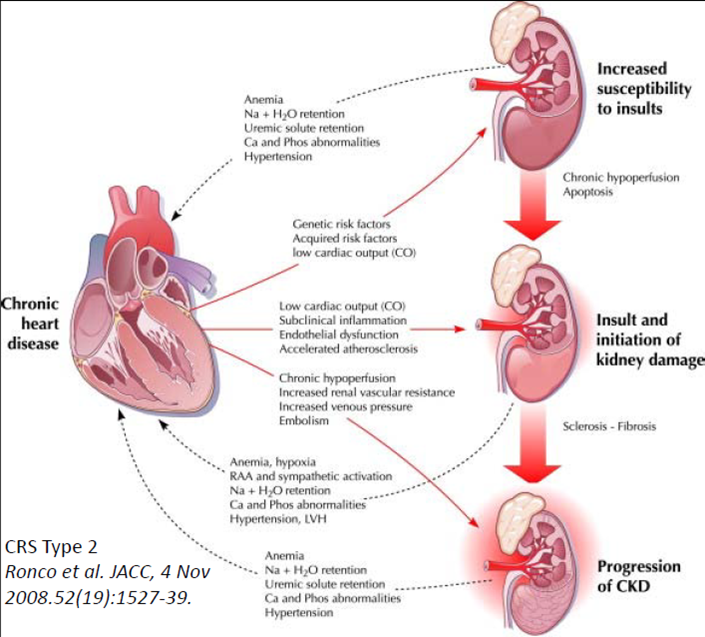 Residentes Medicina Interna Hnerm Síndrome Cardiorrenal