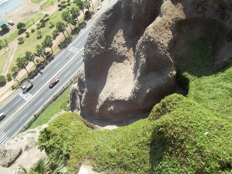 Perusal: February 2011