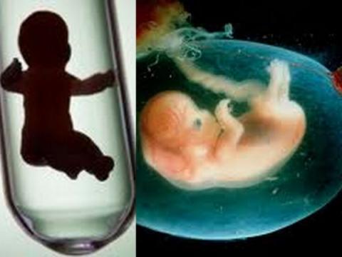 10 Tahapan Proses Pembuatan Bayi Tabung ~ PERAWAT HEBAT KELSA