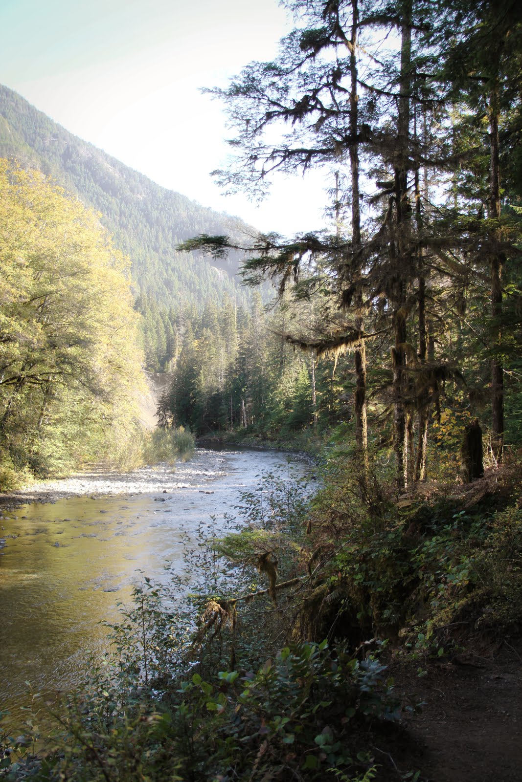 The Lovely Red Fox: Hiking Staircase — Olympic National Park