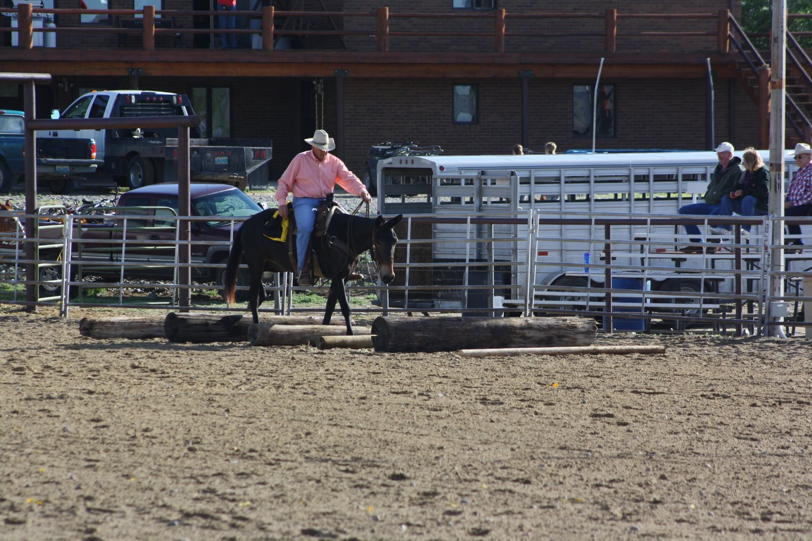 PairADice Mules: Jake Clark Mule Preview