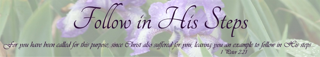 Follow In His Steps: Psalm 28:7-8