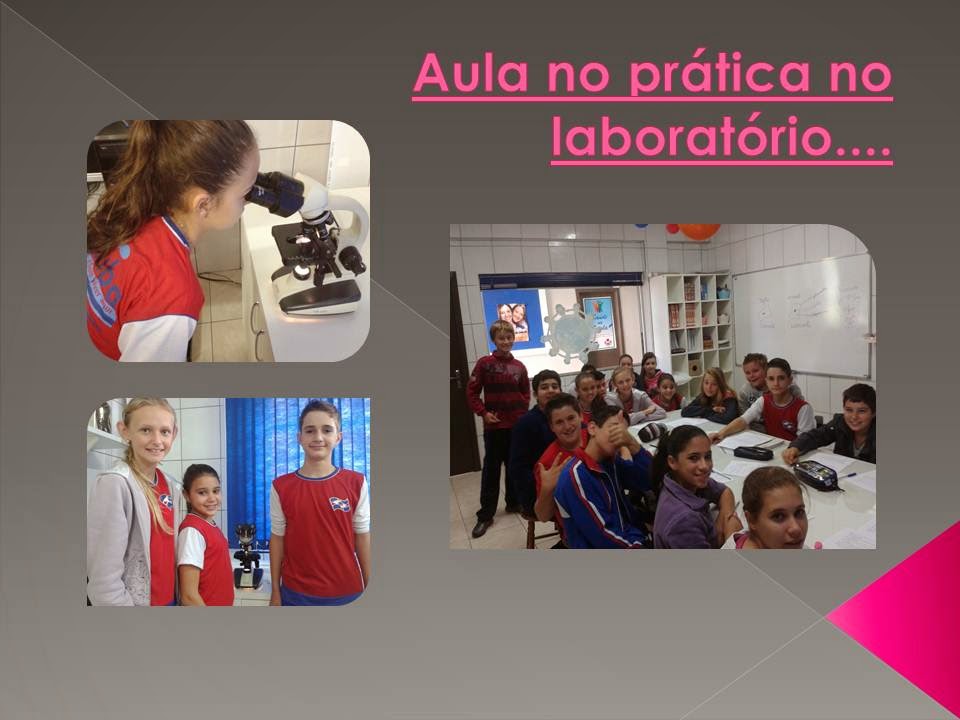Escola Municipal Professora Amélia Poletto Hepp: Aula no prática no ...