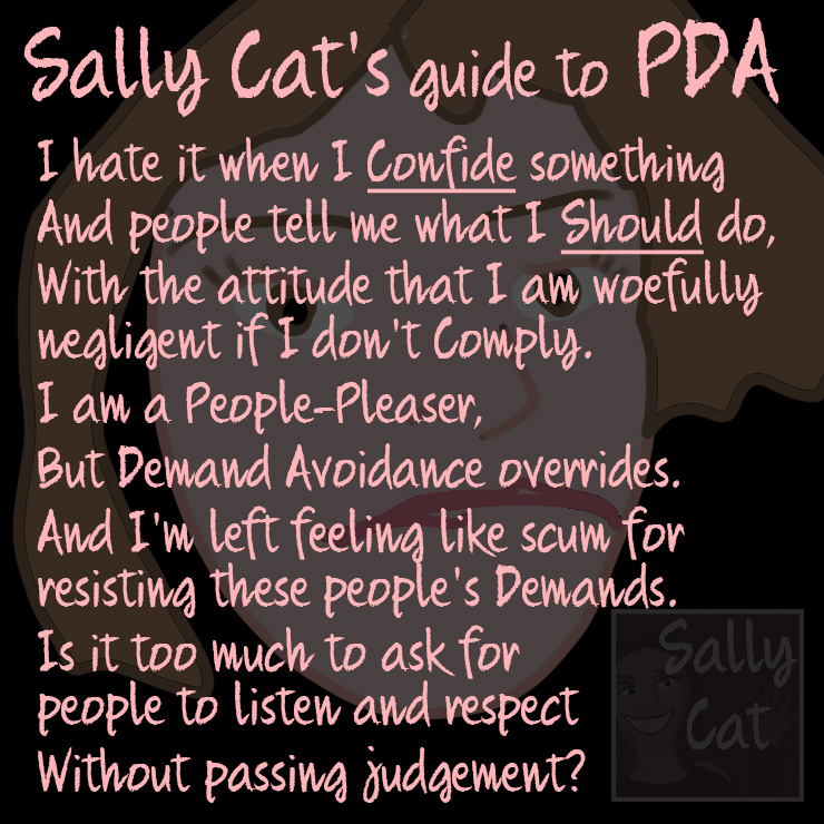 Sally Cat PDA: Memes About Demand Avoidance