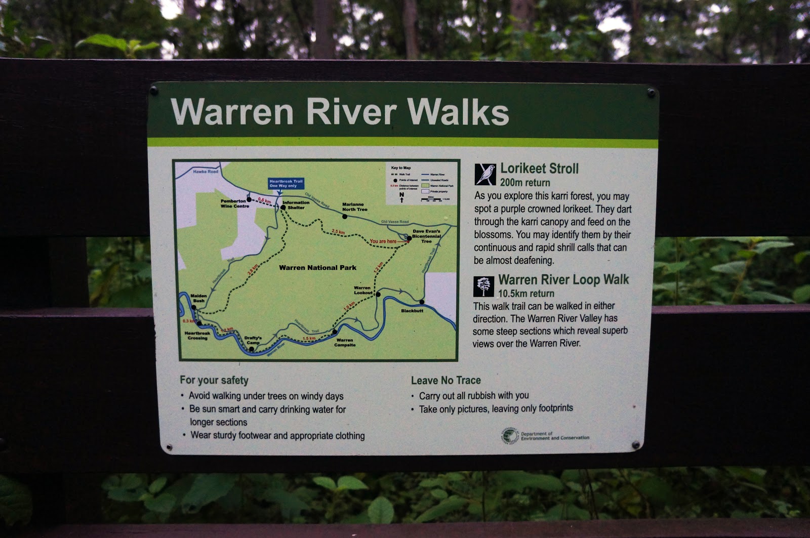 Warren River Loop Walk (Warren National Park) ~ The Long Way's Better