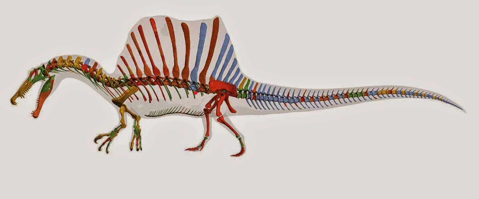 Mundo Terópodo: La Nueva Cara del Espinosaurio