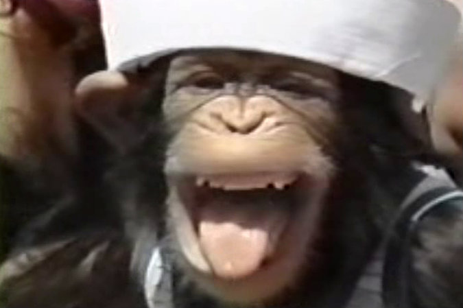 Some Polish American Guy Reviews Things: What Ever Happened to Bear?