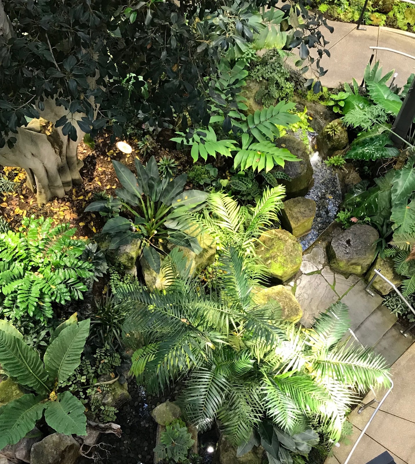 danger garden: Inside the Amazon Spheres