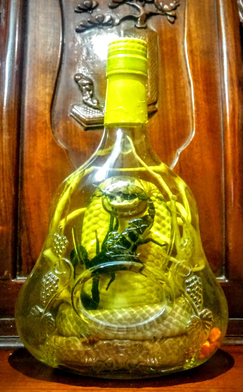 SNAKE WINE IN VIETNAM