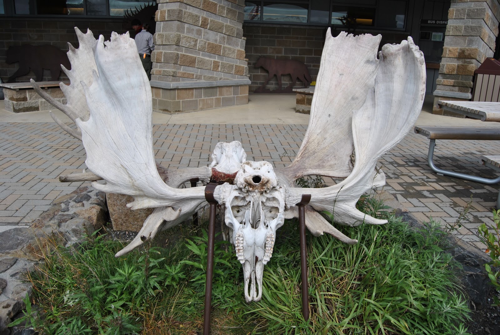 PANAMERICANA: GESICHTER DES TODES / FACES OF DEATH / LAS CARAS DE LA MUERTE