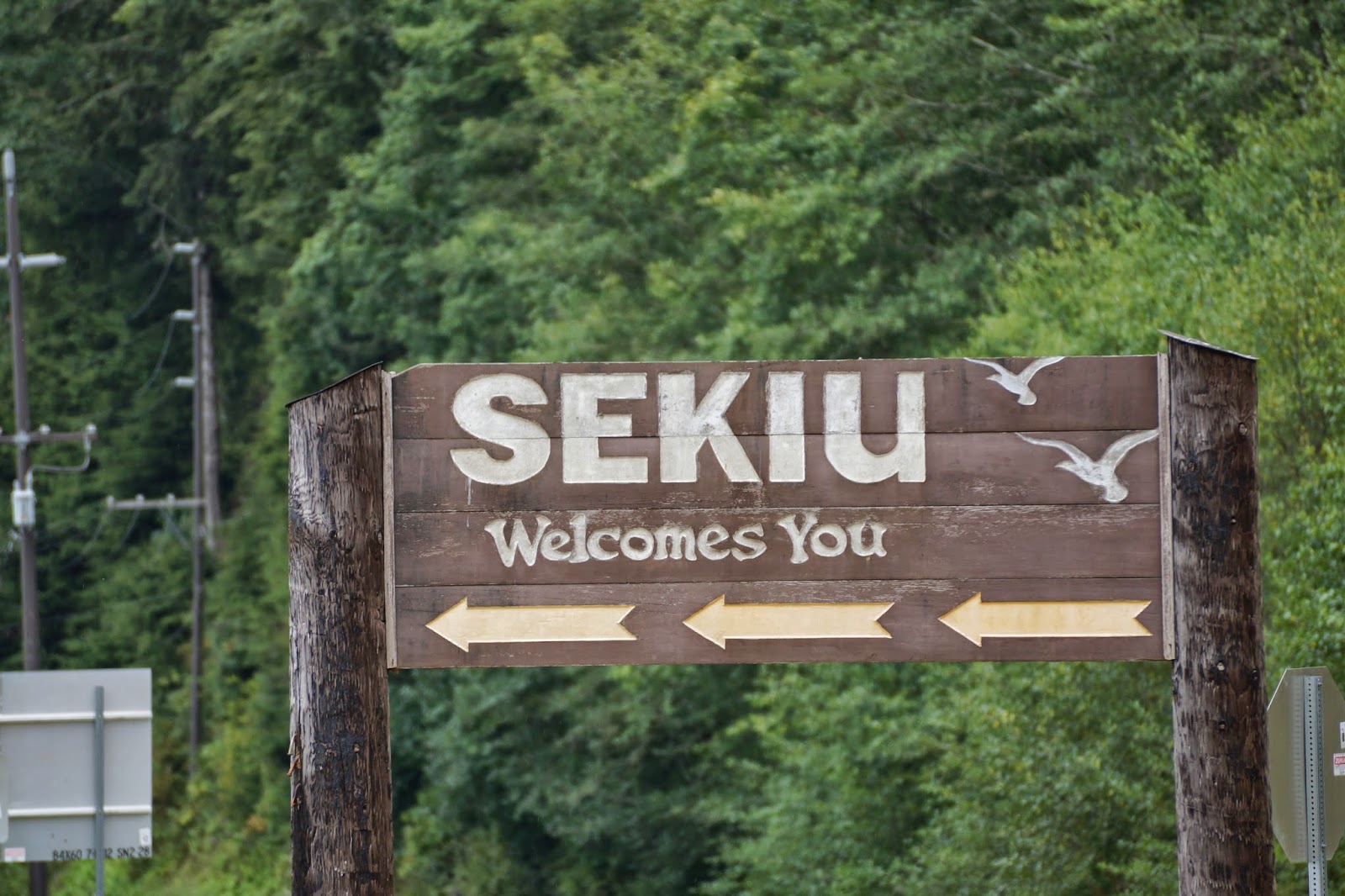 The Greenbelt: Salmon at Sekiu