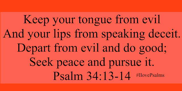 A Prayer for Peace - Seek and Pursue Peace