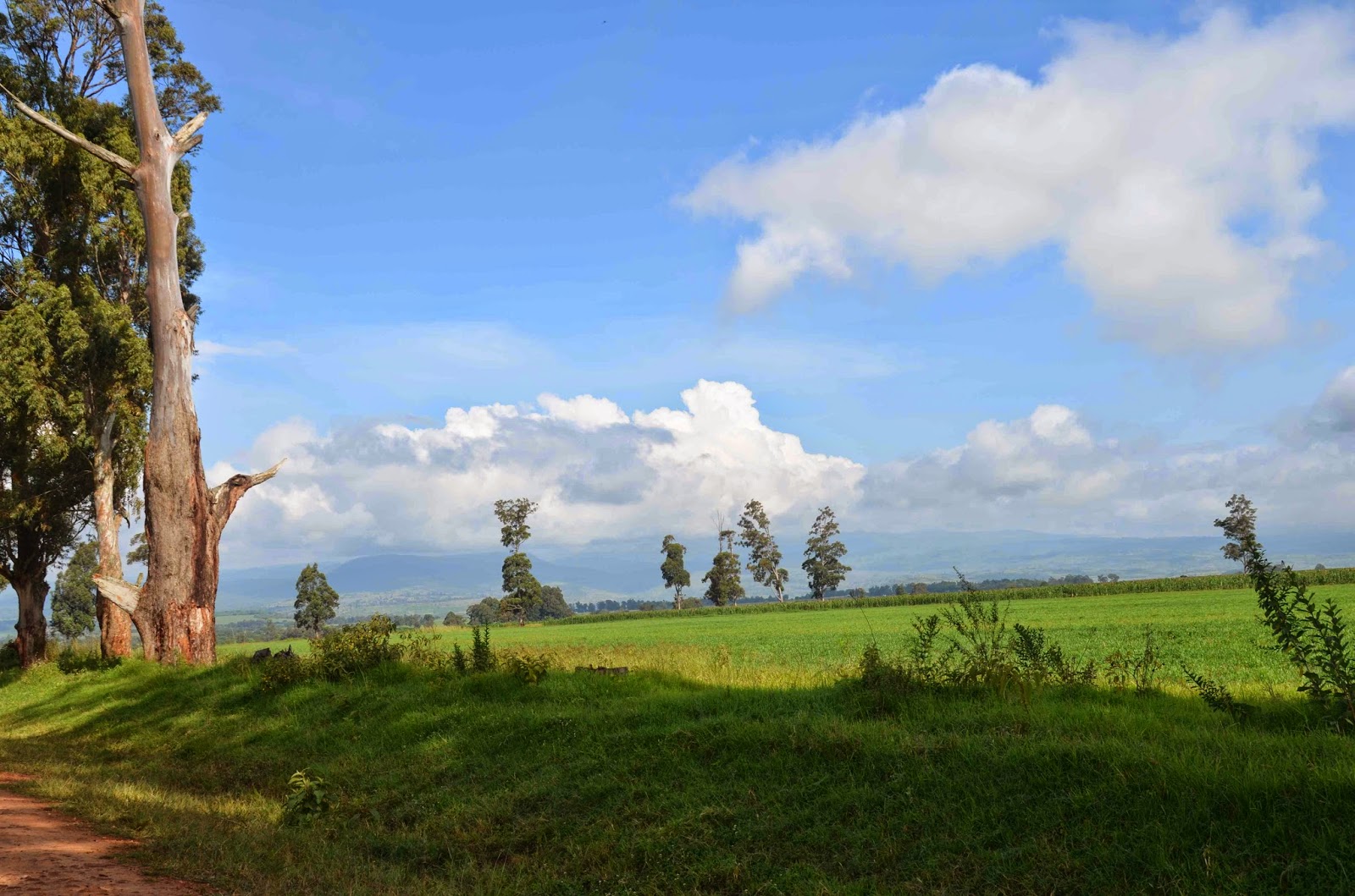 A Year Teaching in Kenya: Mt Elgon