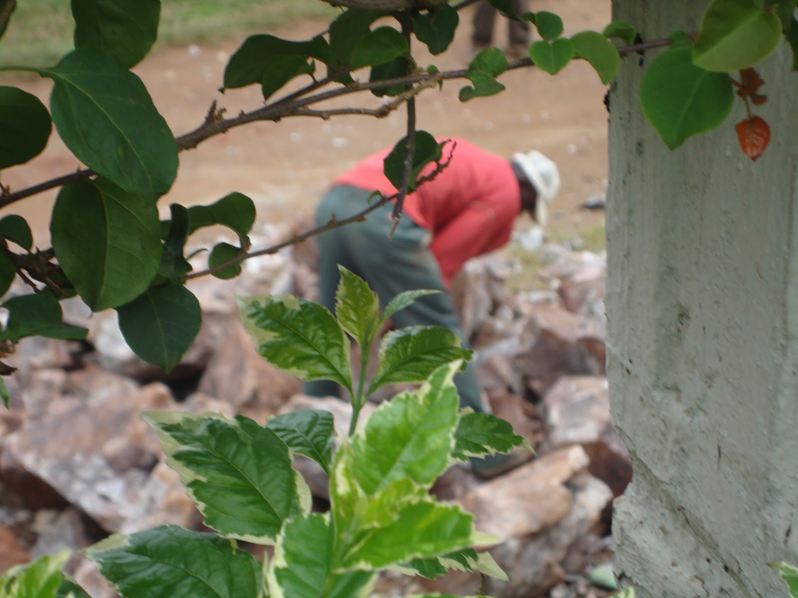 The Heart of Africa: Rwanda: Pictures taken in May, 2012