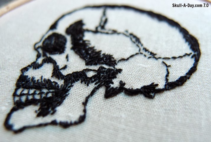 Anatomical Skull Embroidery