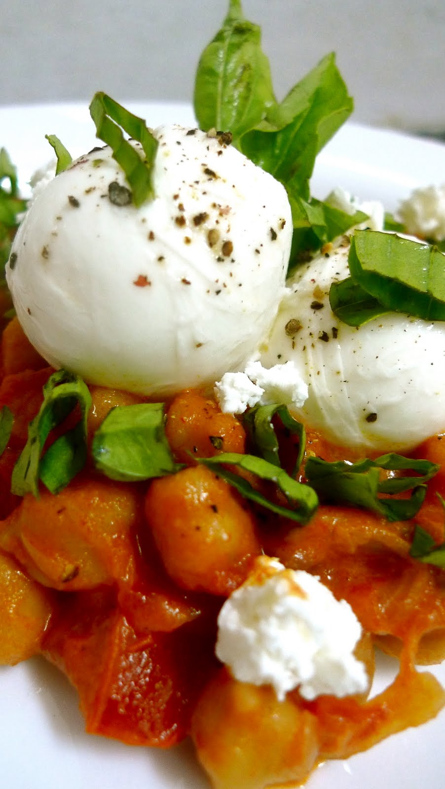 Spicy Chickpea Ragout