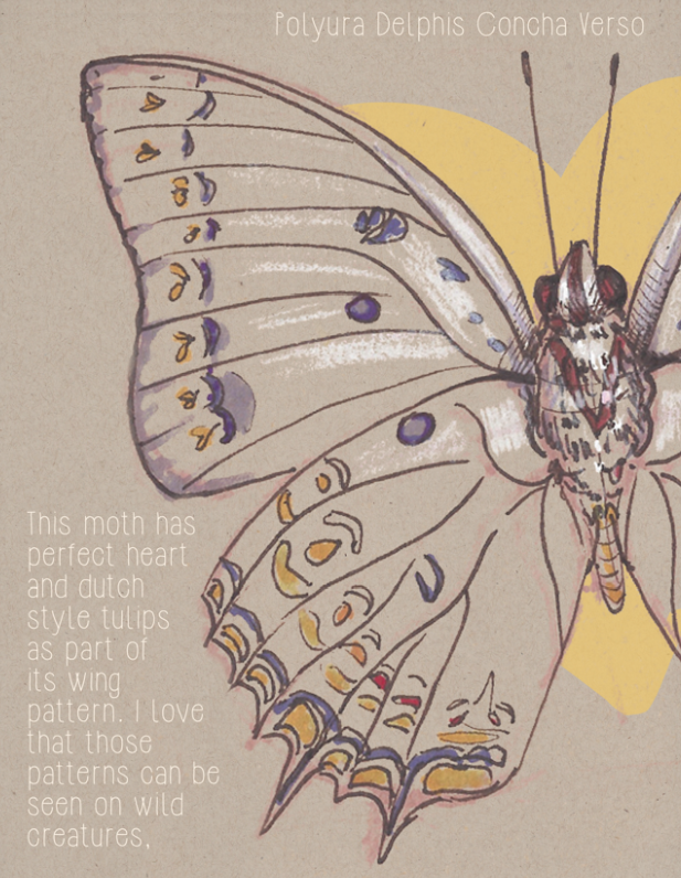 Warrior Spirit, Artist Heart: Dynamic Sketching with Peter Han