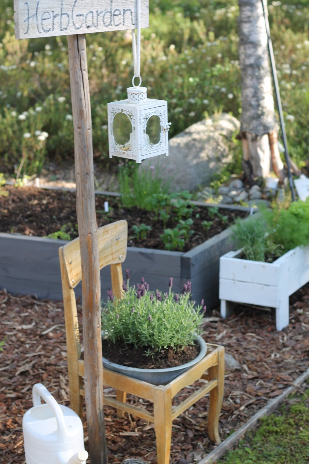 k o t i p o r s t u a: Meidän pieni kasvimaa