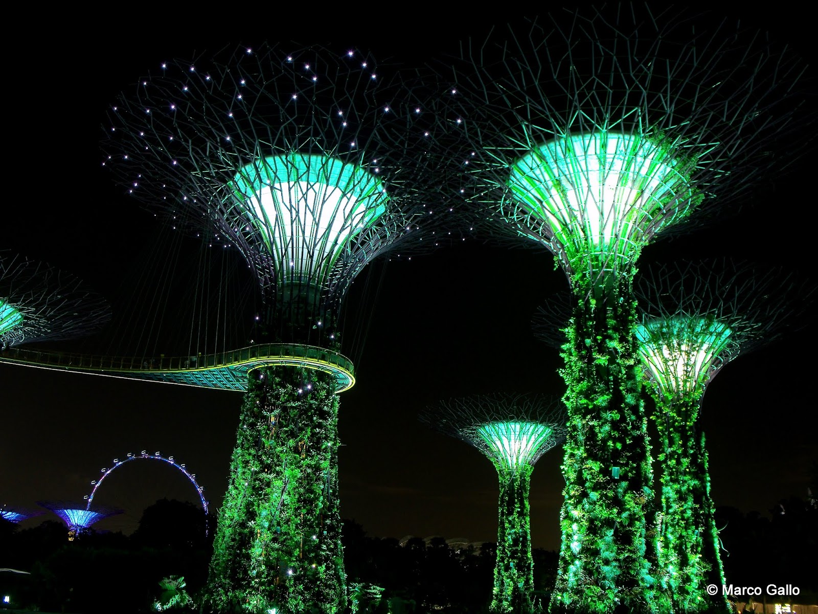 Vivir viajando: BOSQUE ARTIFICIAL. SINGAPUR